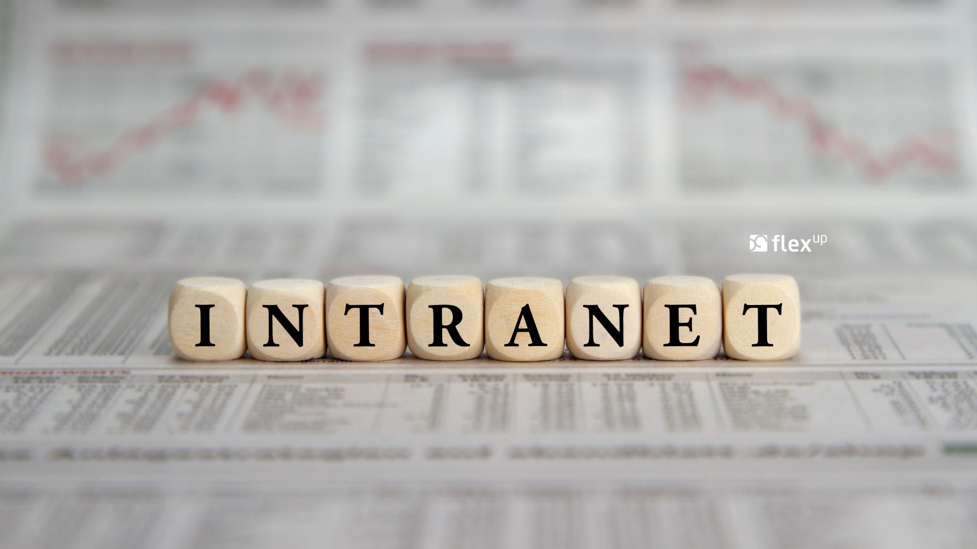 Tipos de Intranet: Descubra o Melhor Modelo Para Sua Empresa